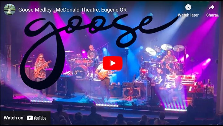 Goose Music Medley Movie and Light Show Photos