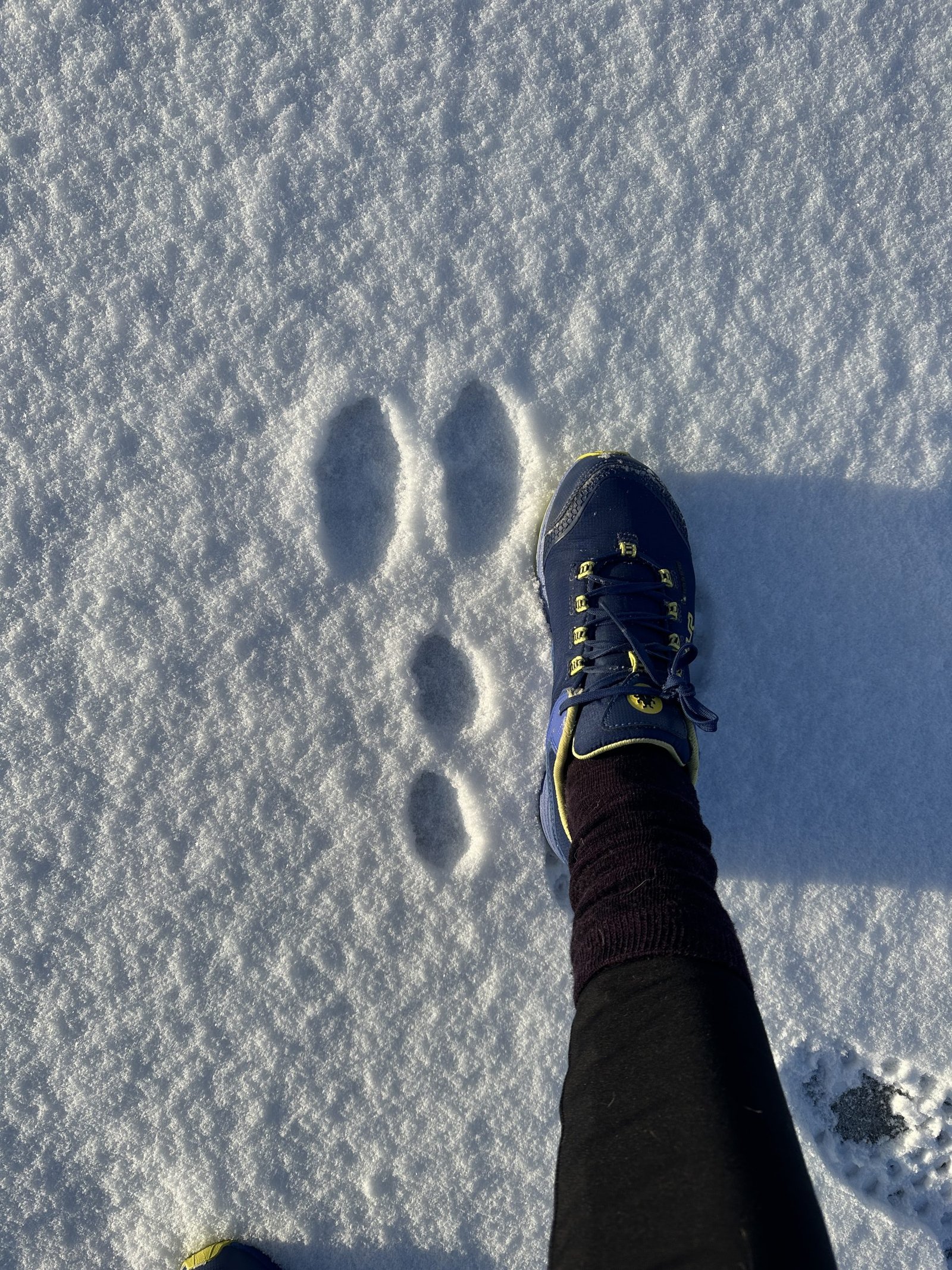 Thankful for Beginners Mind During Our First Winter in Alaska