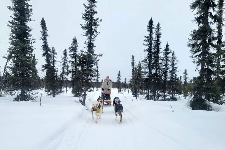 An Open Letter to Crazy Mushers Everywhere